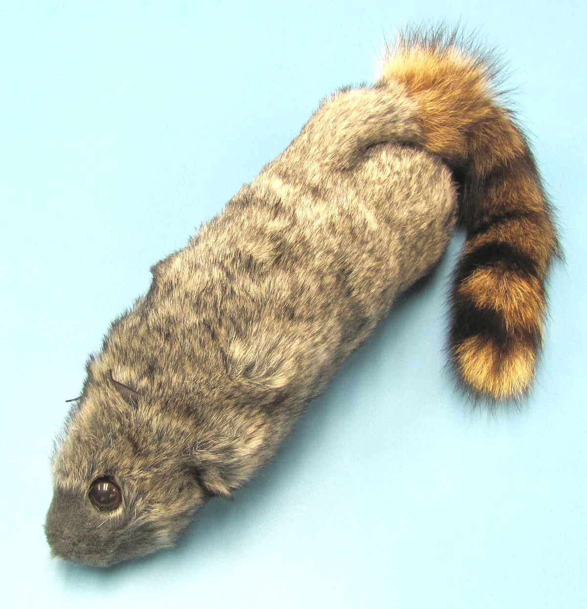 Roxy The Spring Raccoon | Winkler's Magic Warehouse